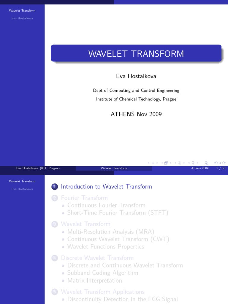 Wavelet Introduction | PDF | Wavelet | Functions And Mappings