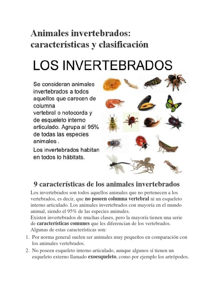 50 Ejemplos De Animales Invertebrados