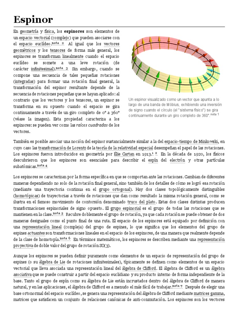 Espin or | PDF | Rotación | Representación grupal