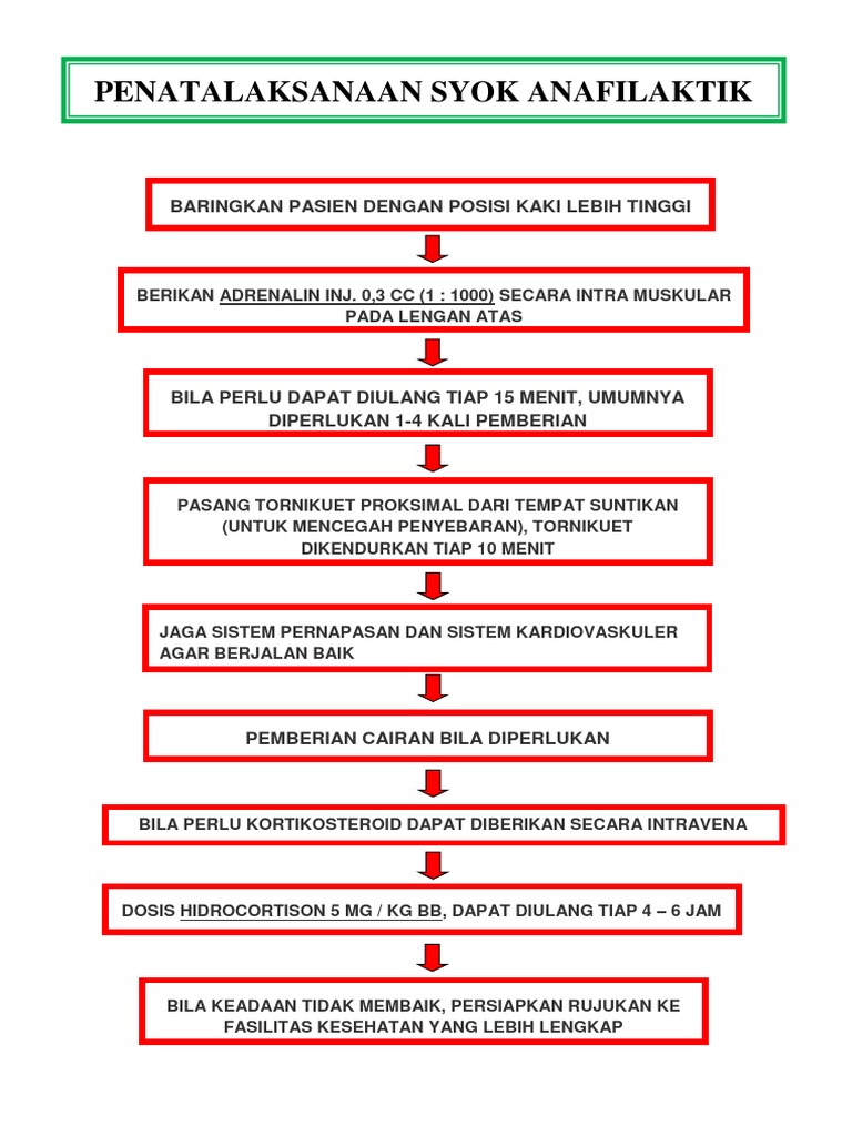 Bagan Alur Syok Anafilaksis | PDF | Kesehatan Holistik | Sains & Matematika