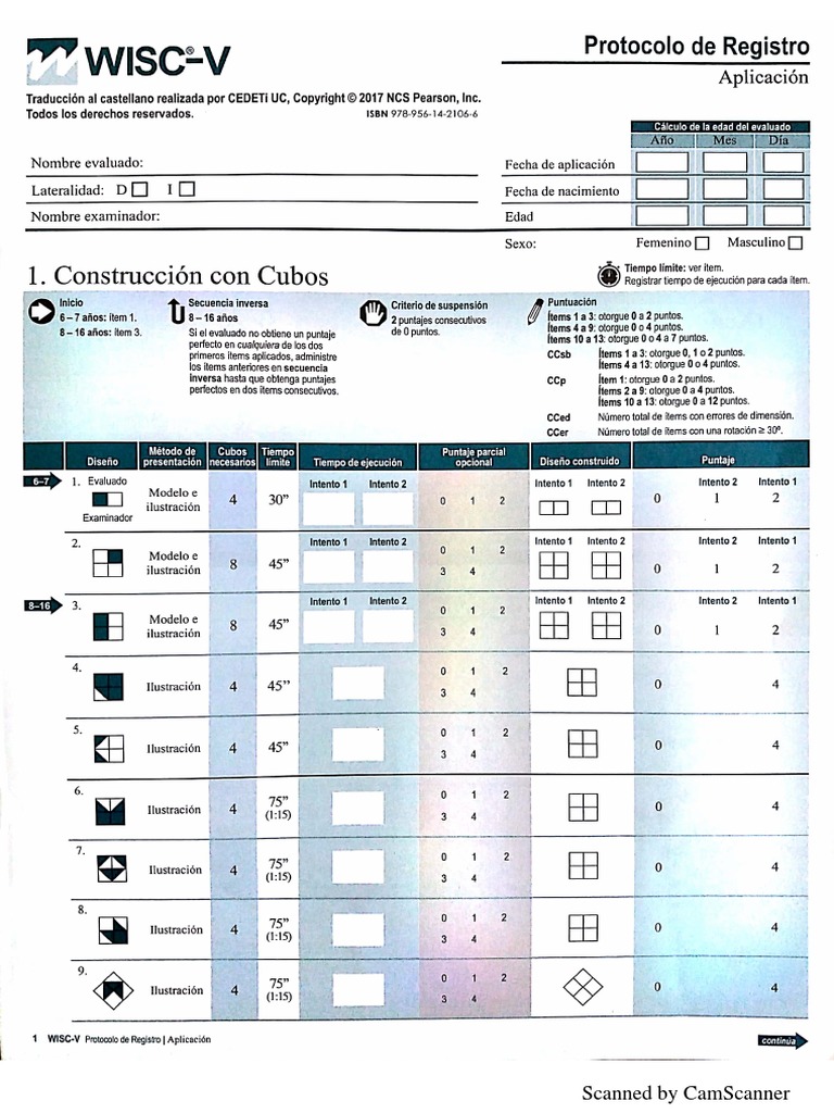 Protocolo Registro WISC V | PDF