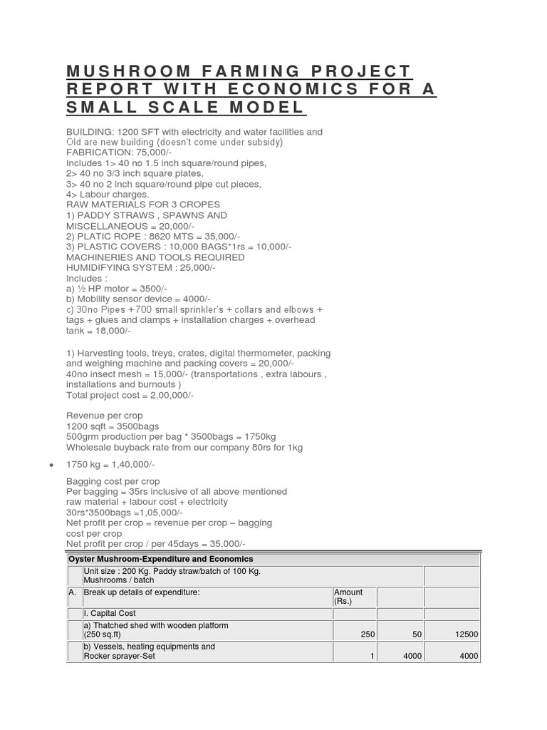 Mushroom Farming Project Report | PDF | Economies | Business