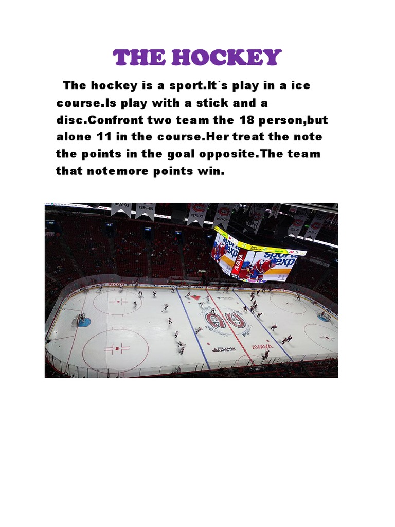 Understanding Ice Hockey Basics | PDF