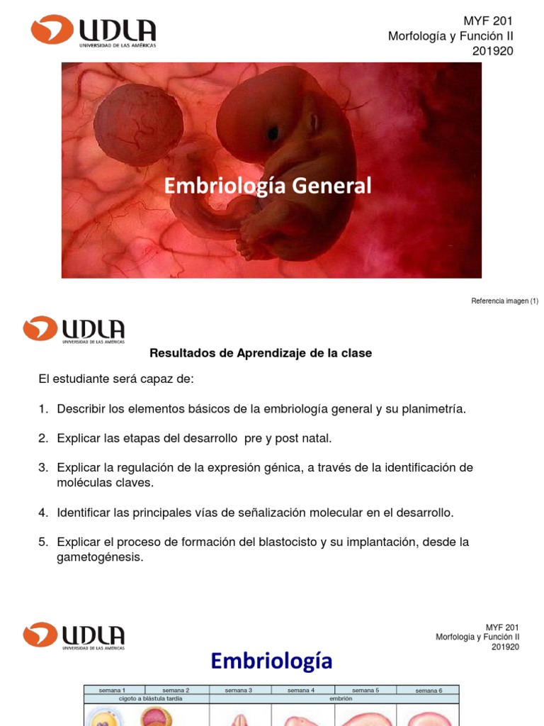 Embriología General: MYF 201 Morfología y Función II 201920 ...