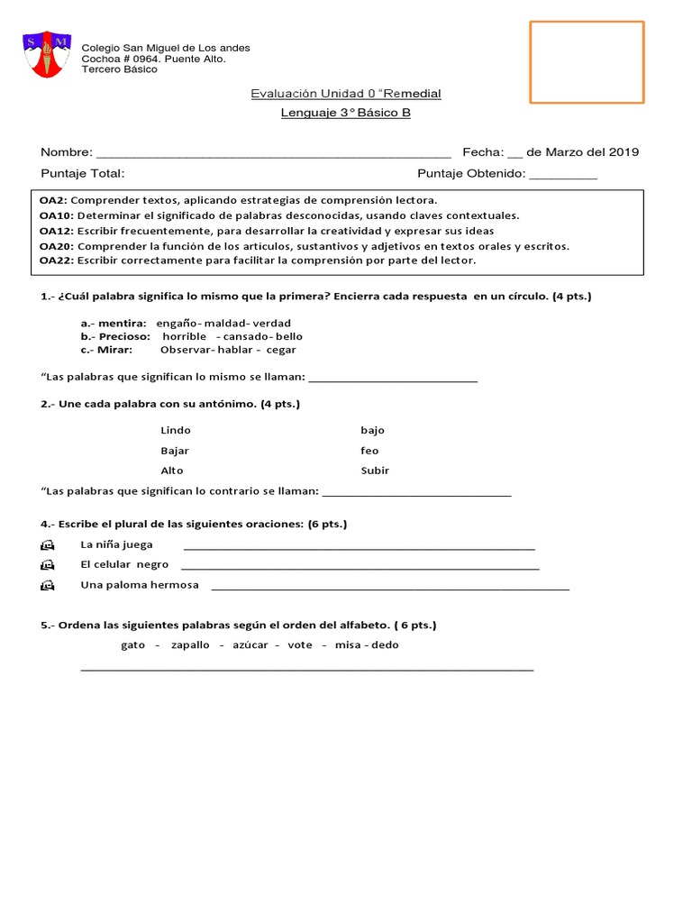 Evaluación Remedial Lenguaje | PDF | Sustantivo | Comprensión lectora