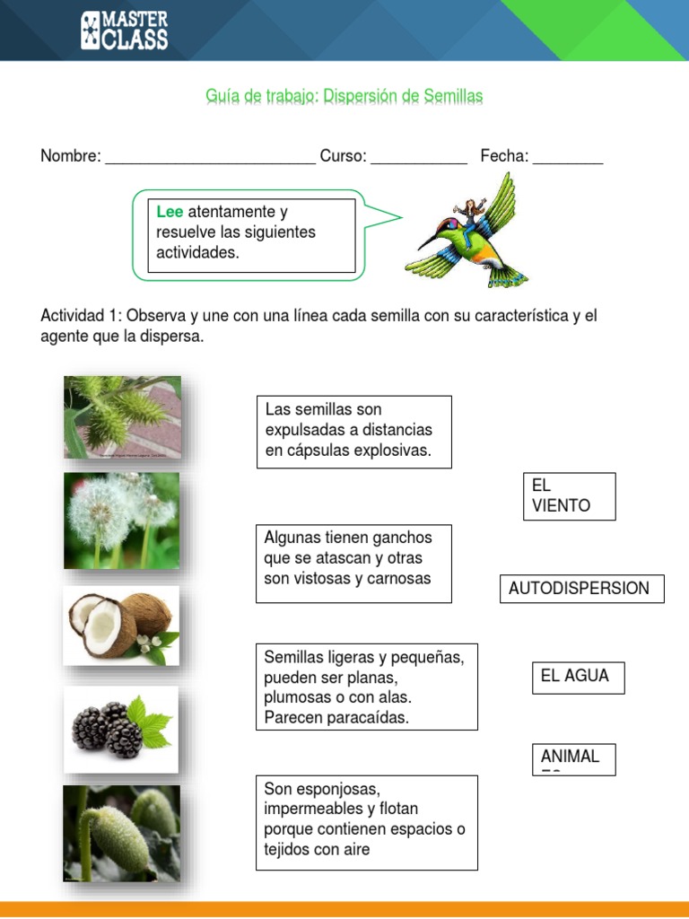 Guia de Trabajo - Dispersion de Semillas | PDF