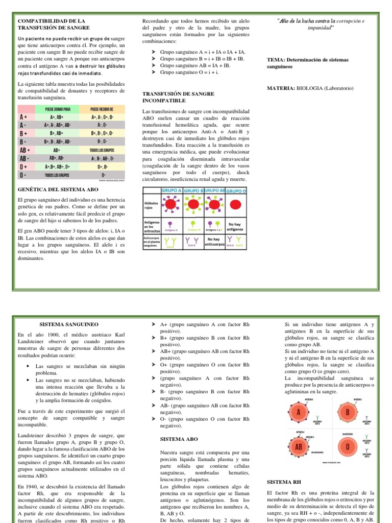 Compatibilidad de Grupos Sanguíneos | PDF | Tipo de sangre | Tejido ...