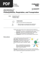 Kcse 2024 Bio Pp1 Ms - Code 01 | PDF | Cellular Respiration | Flowers