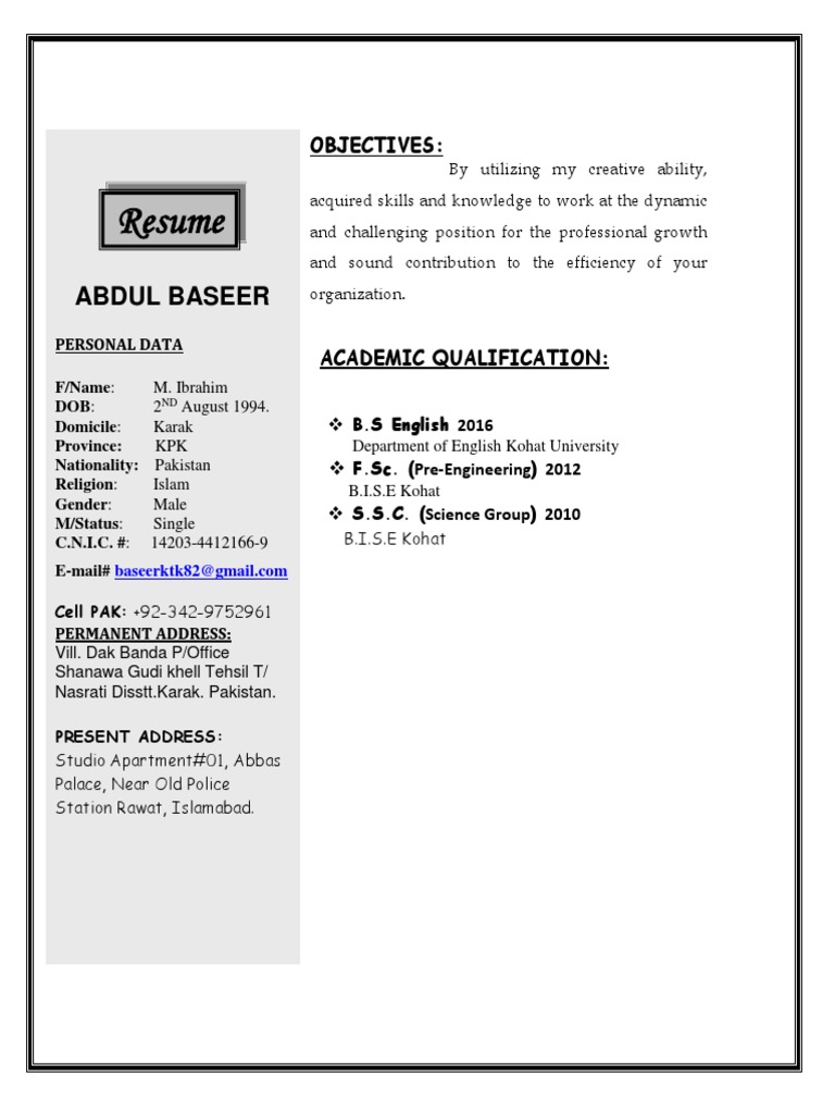 Baseer CV | PDF