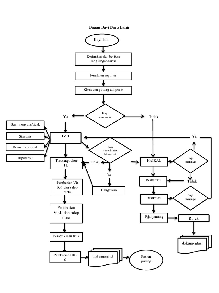 Flow Chart Bayi Baru Lahir | PDF