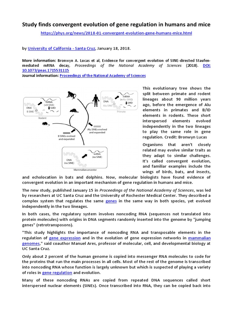 EVOLUTION - Study Finds Convergent Evolution of Gene Regulation in ...