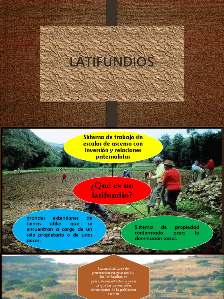 Latifundios | PDF | Agricultura | Economias
