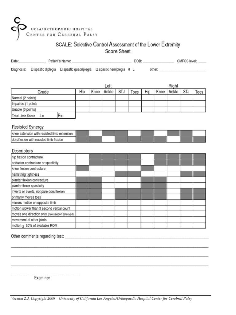 SCALE-Selective Control Assesment PDF | PDF | Anatomical Terms Of ...