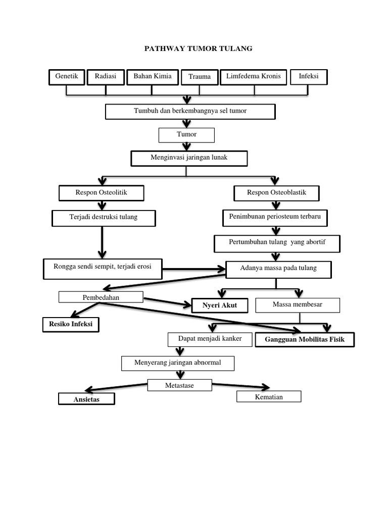 Pathway Kanker Tumor Tulang | PDF