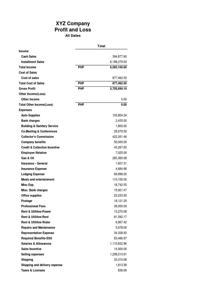 XYZ Company Profit and Loss: All Dates | PDF | Expense | Income Statement