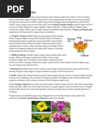 Jenis Jenis Batang Tumbuhan | PDF | Sains & Matematika