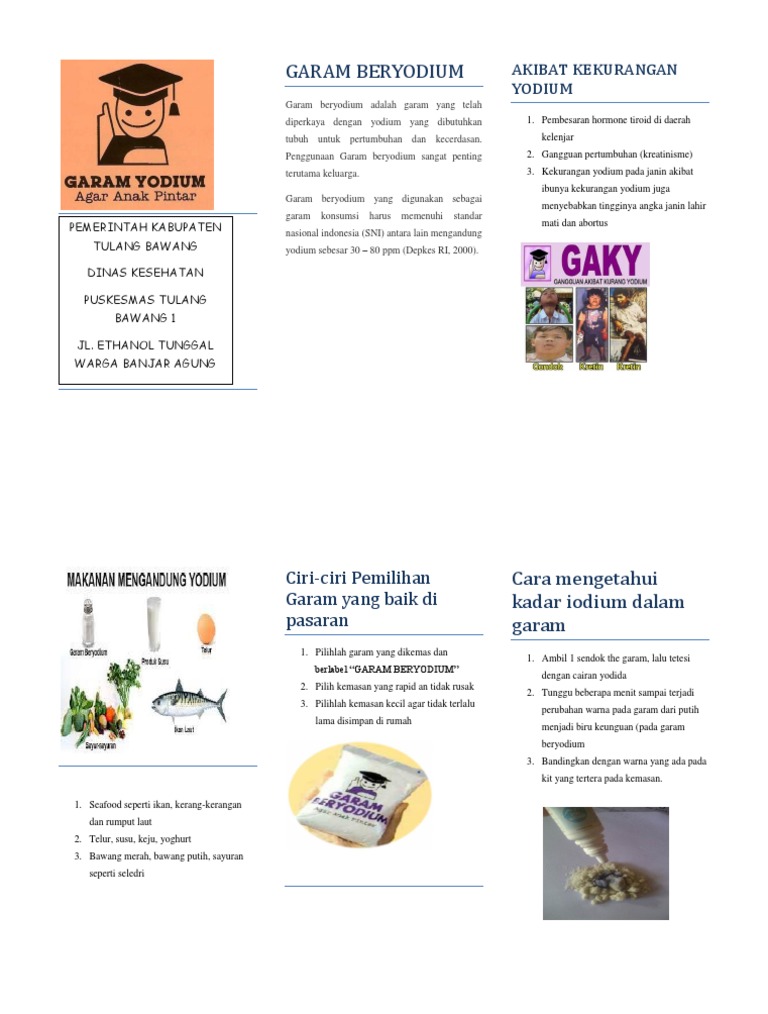 Leaflet Garam Yodium | PDF