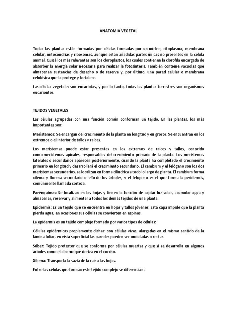 Anatomia Vegetal | PDF | Tallo de la planta | Plantas