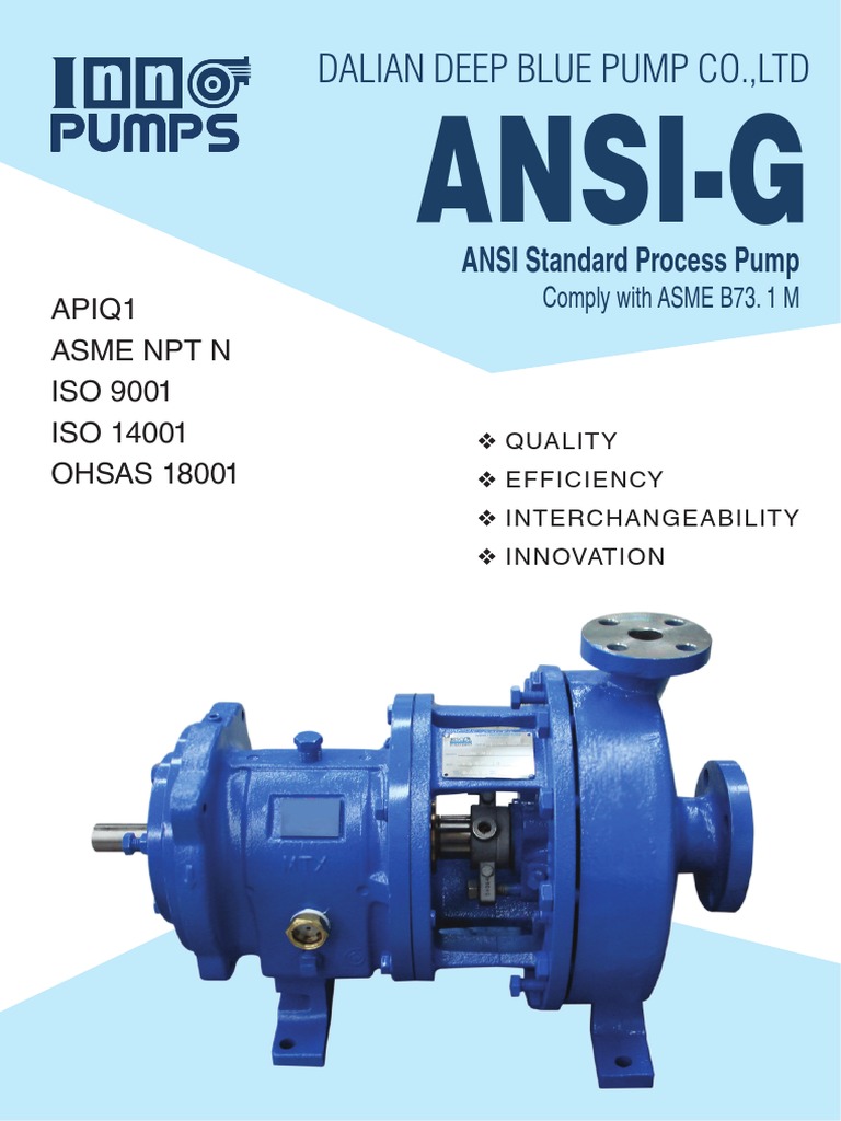An Overview of the ANSI-G Standard Process Pump from Dalian Deep Blue ...