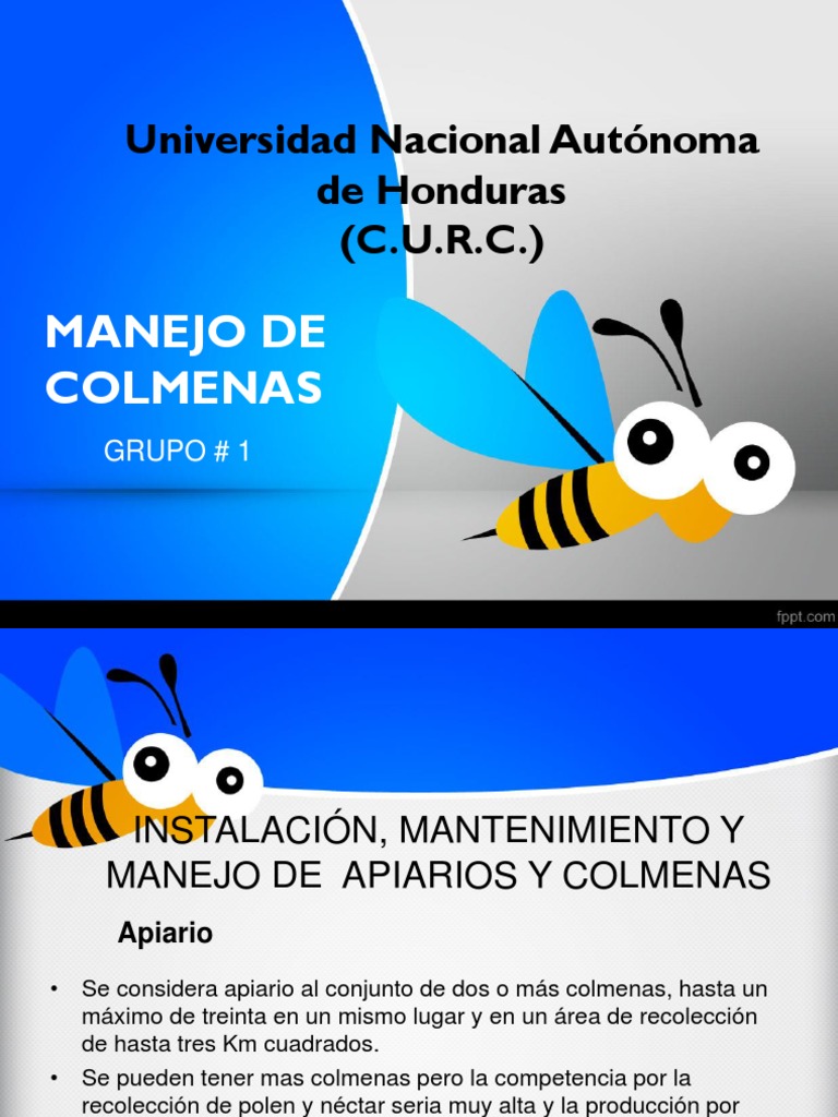 Manejo de Abejas | PDF | Colmena | Apicultura Manejo de Abejas | PDF | Colmena | Apicultura