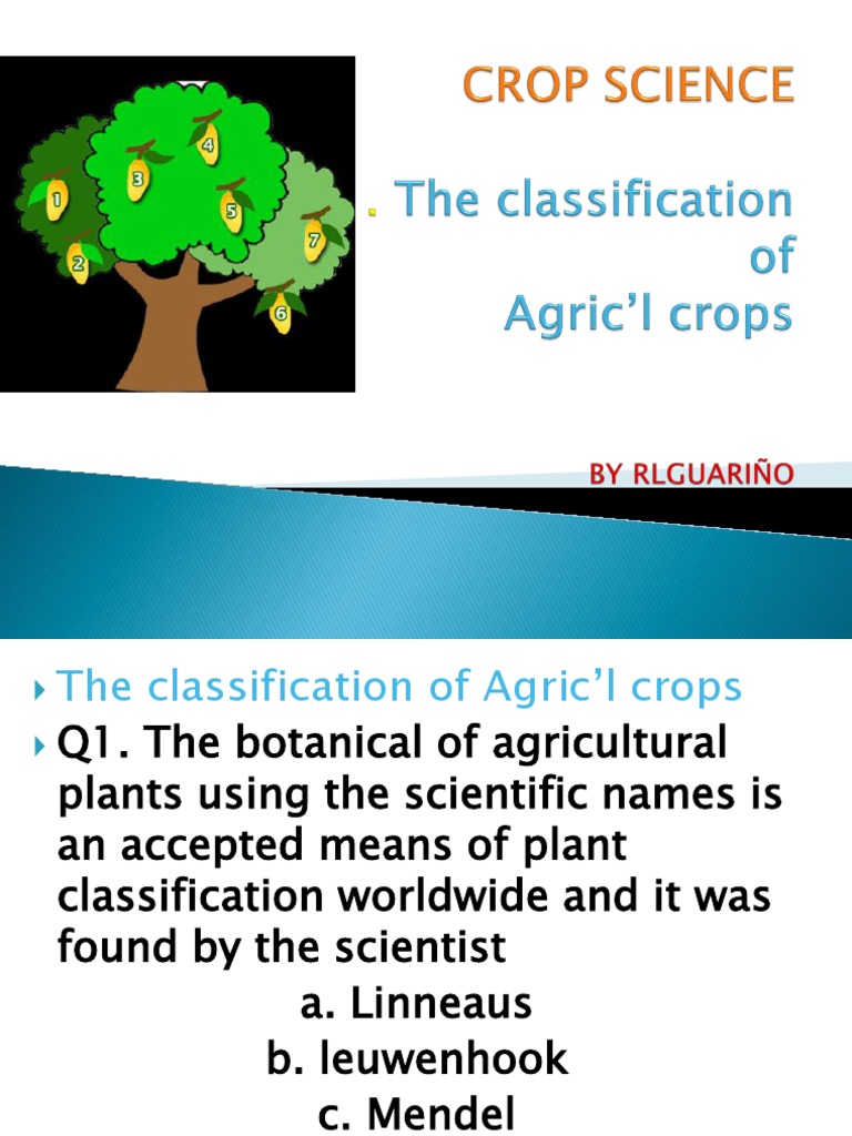 CROP SCIENCE-PPT-classification of Agricultural Crops13 | Download Free ...