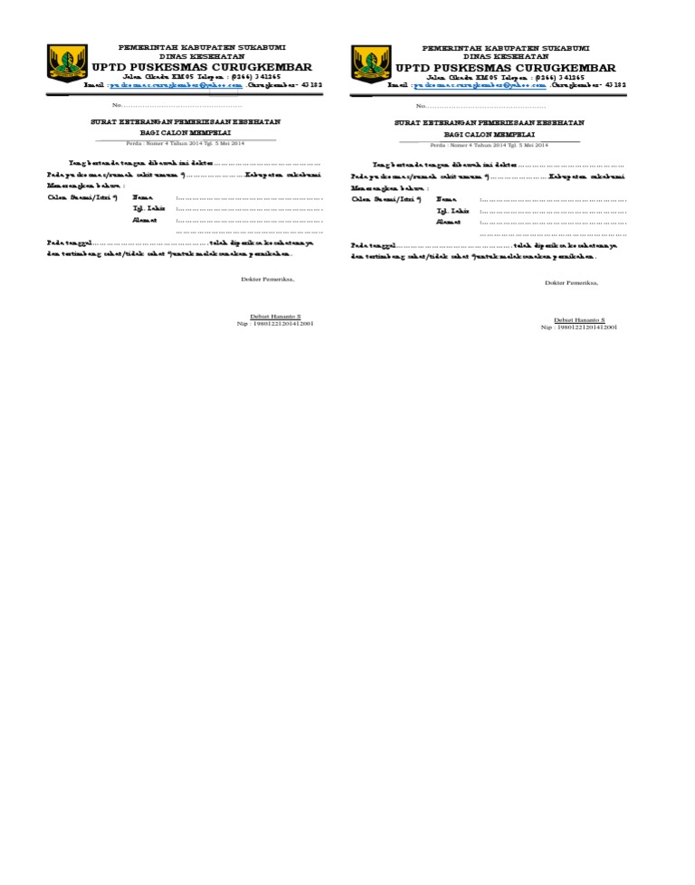 Catin | PDF