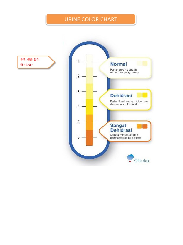 Urine Color Chart | PDF