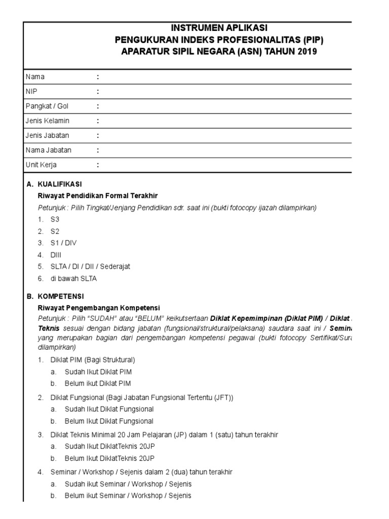 Instrumen Pengisian Form Pip Asn 2019 | PDF