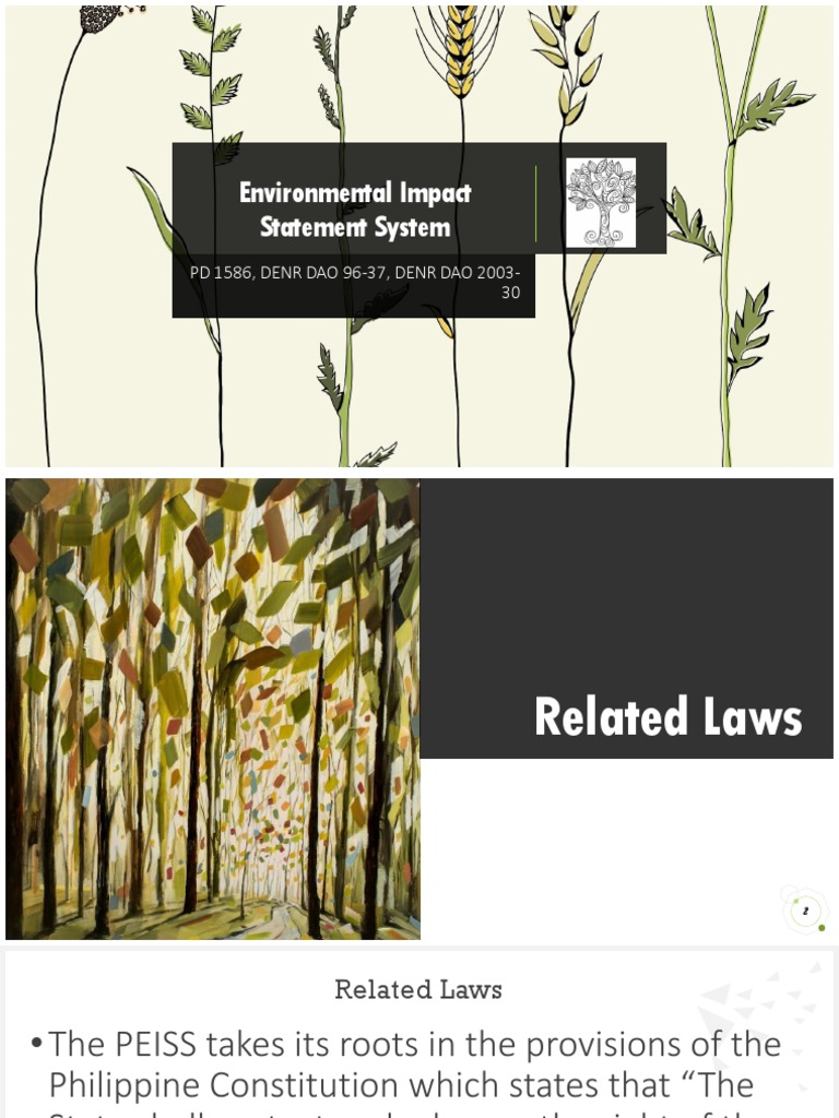 Environmental Impact Statement System | PDF | Environmental Impact ...