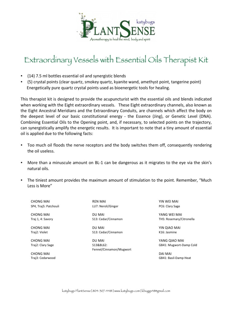 Extraordinary Vessels Kit Insert Kb3 | PDF
