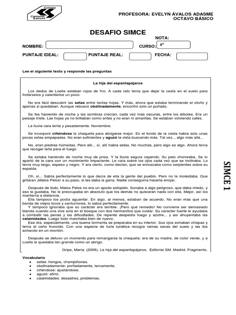 Desafio Simce Comprension Lector | PDF | glaciar | Antártida