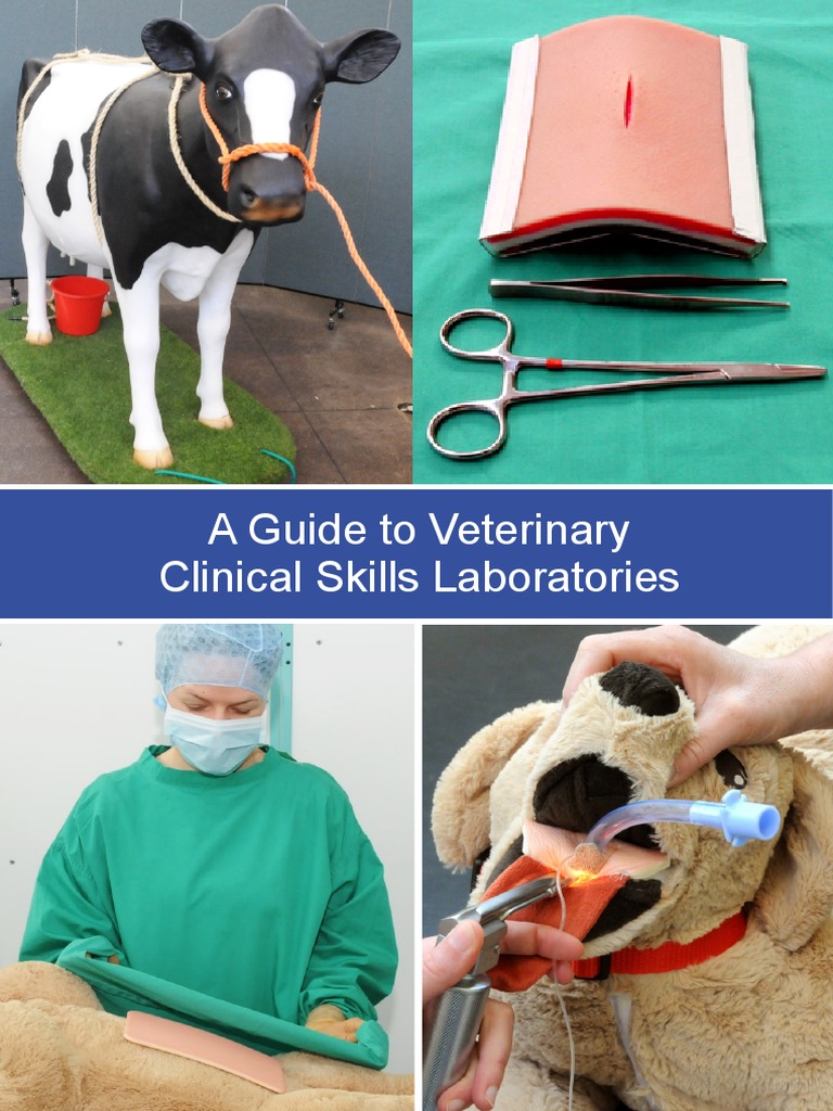 A Guide To Veterinary Clinical Skills Laboratories | PDF | Veterinary ...
