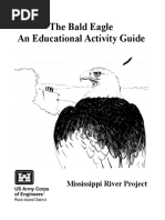 Bald Eagle Conservation Success | PDF | Bald Eagle | Ddt