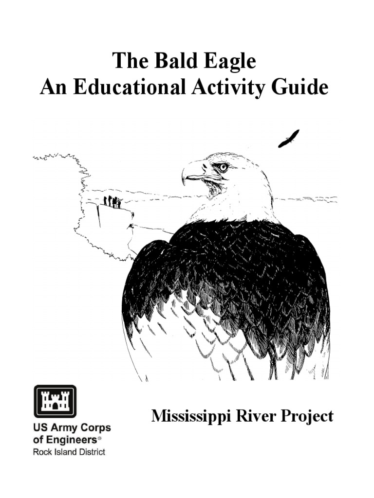 Bald Eagle Activity Guide PDF | PDF | Bald Eagle | Predation