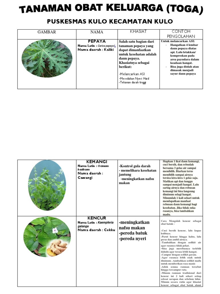 Contoh Tanaman Toga dan Manfaatnya | PDF