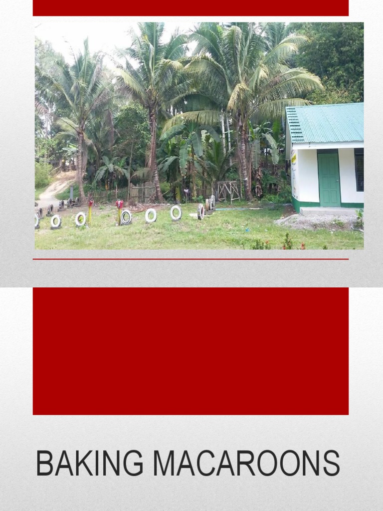 BAKING MACAROONS Presentation Demo | PDF