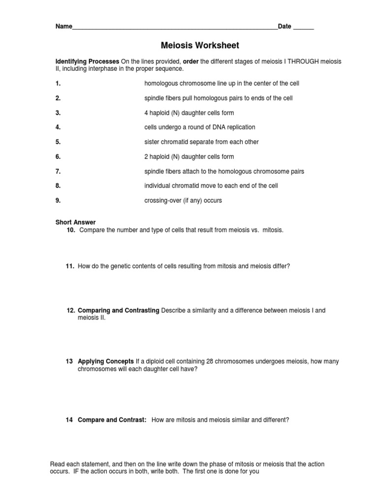 MEIOSIS Worksheet | PDF | Meiosis | Mitosis