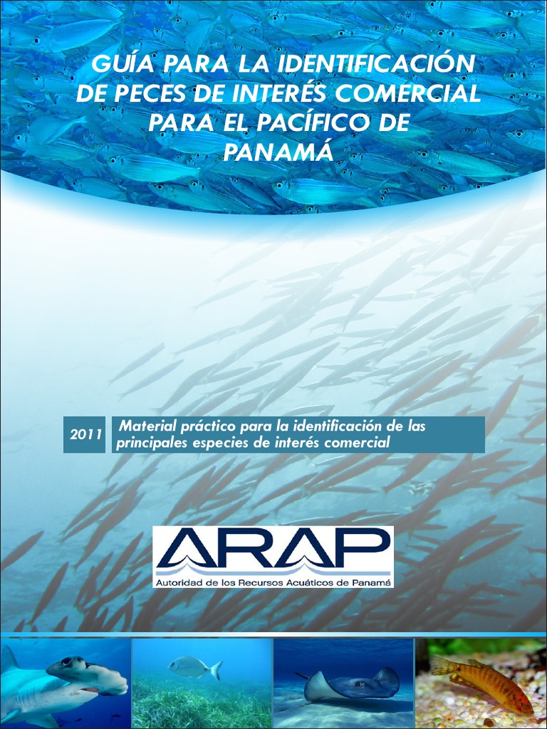 Guia - Peces Comerciales en Panamá | PDF | Pescado | Pesquería
