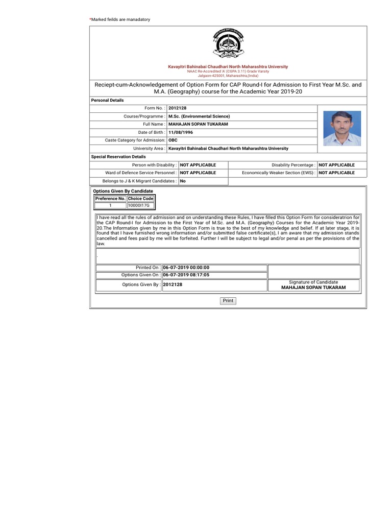 Print Option Form Sopan PDF | PDF