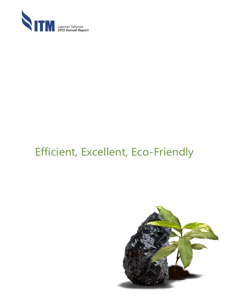 ITMG Annual Report 2013 | PDF | Dividend | Board Of Directors