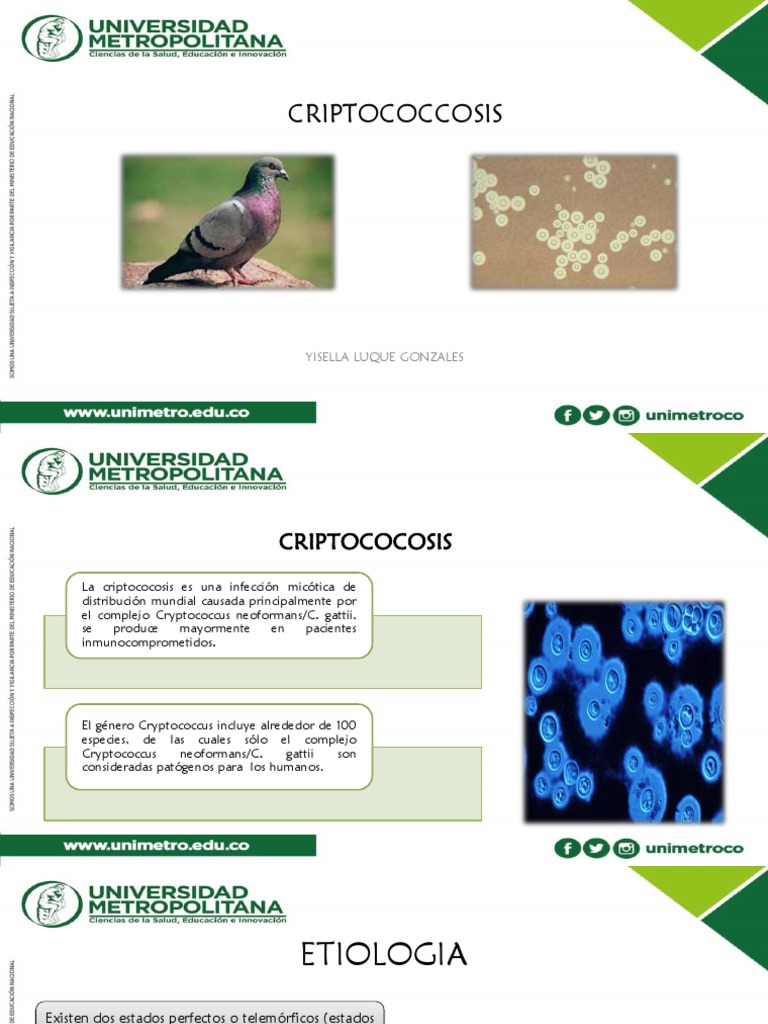 CRIPTOCOCOSIS | PDF | Infección | Sistema inmune