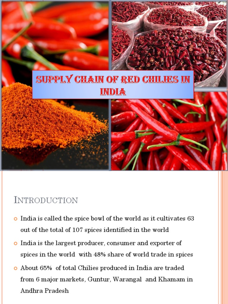 Supply Chain of Red Chilies in India | PDF | Retail | Supply Chain