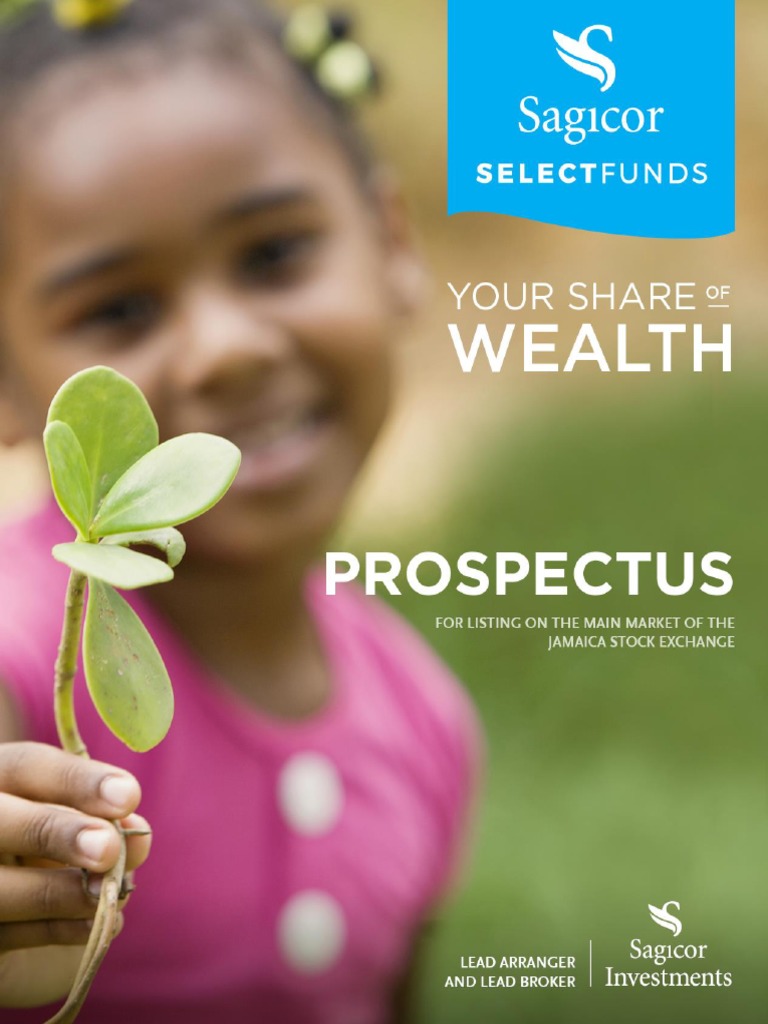 Prospectus Sample | PDF | Stocks | Stock Market Index