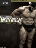 PPL x ARNOLD SPLIT | PDF