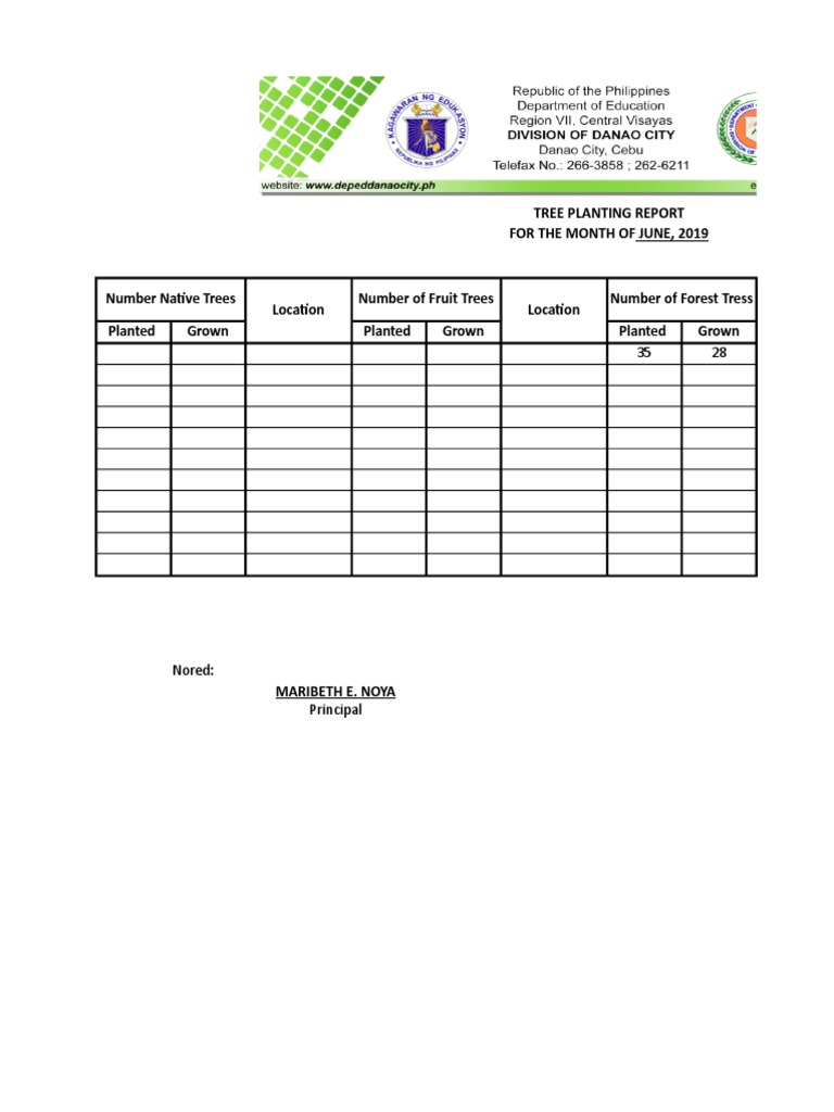 Tree Planting Report 2019-2020 | PDF