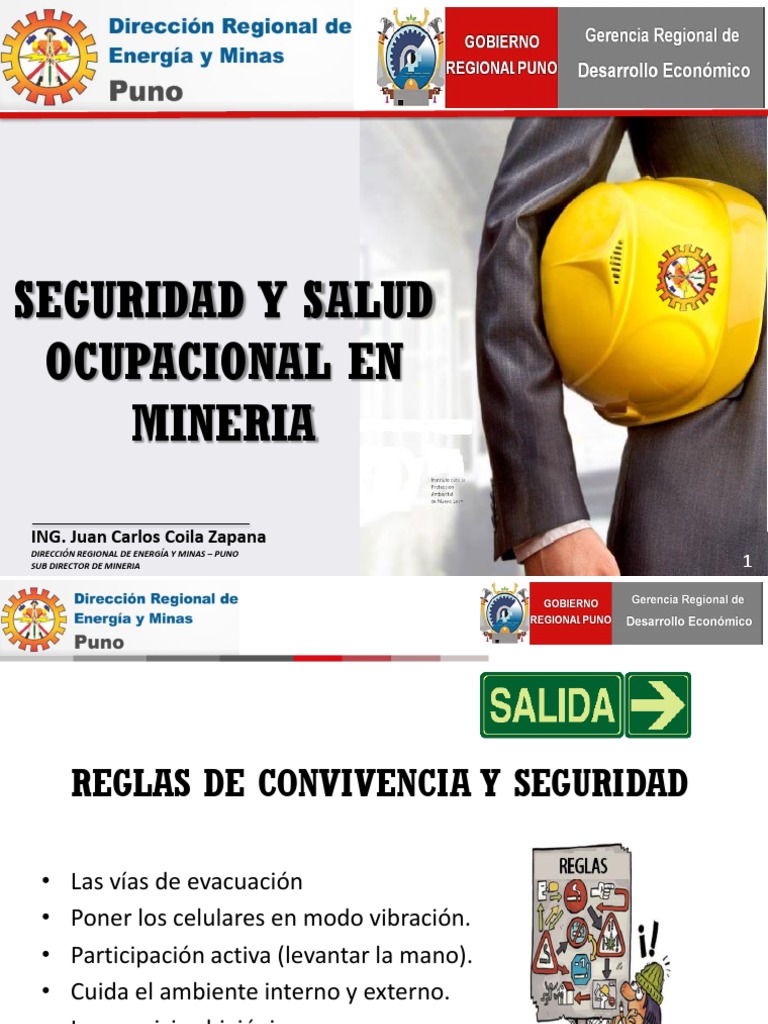Seguridad y SO en Mineria DREM PUNO | PDF | Seguridad y salud ...