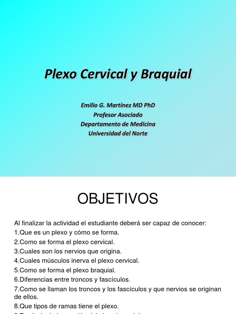 06 Plexo Cervical y Braquial | PDF | Mano | Neuroanatomía