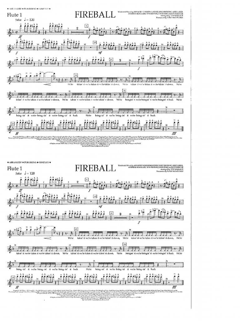 Fireball PDF | PDF