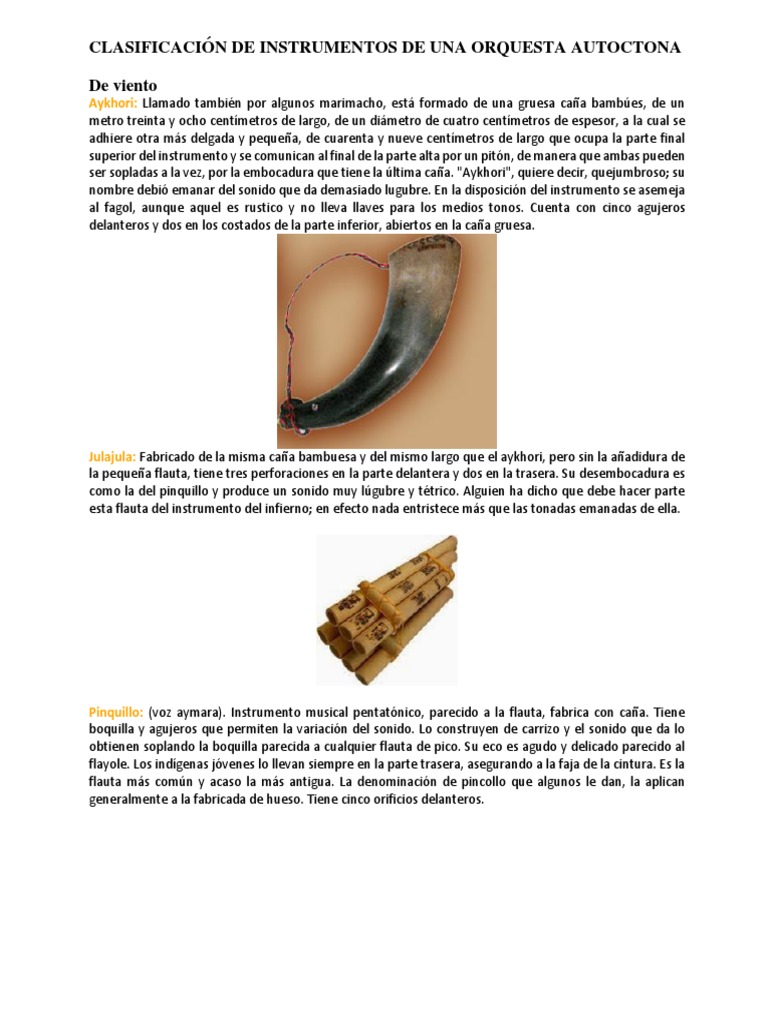Instrumentos Musicales Autóctonos de Bolivia | PDF | Flauta ...
