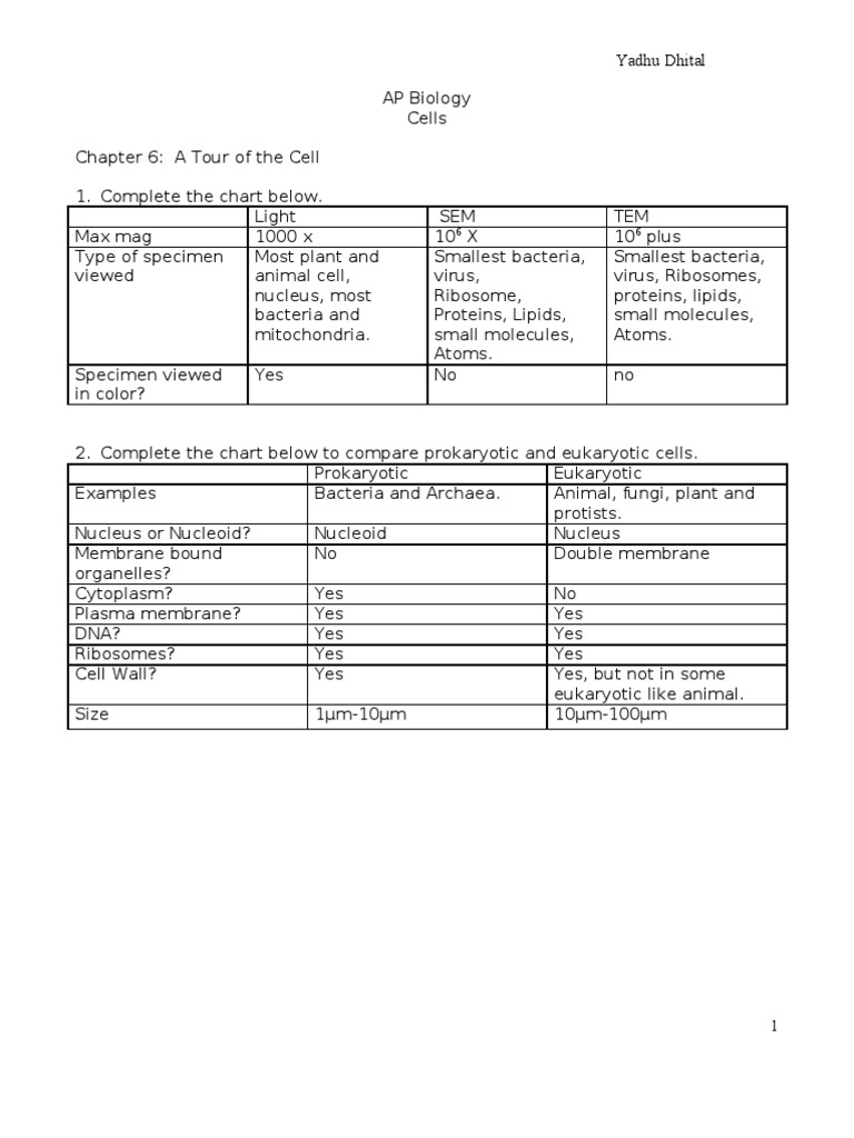 Cells Questions and Vocab | PDF | Cell Membrane | Cell (Biology)